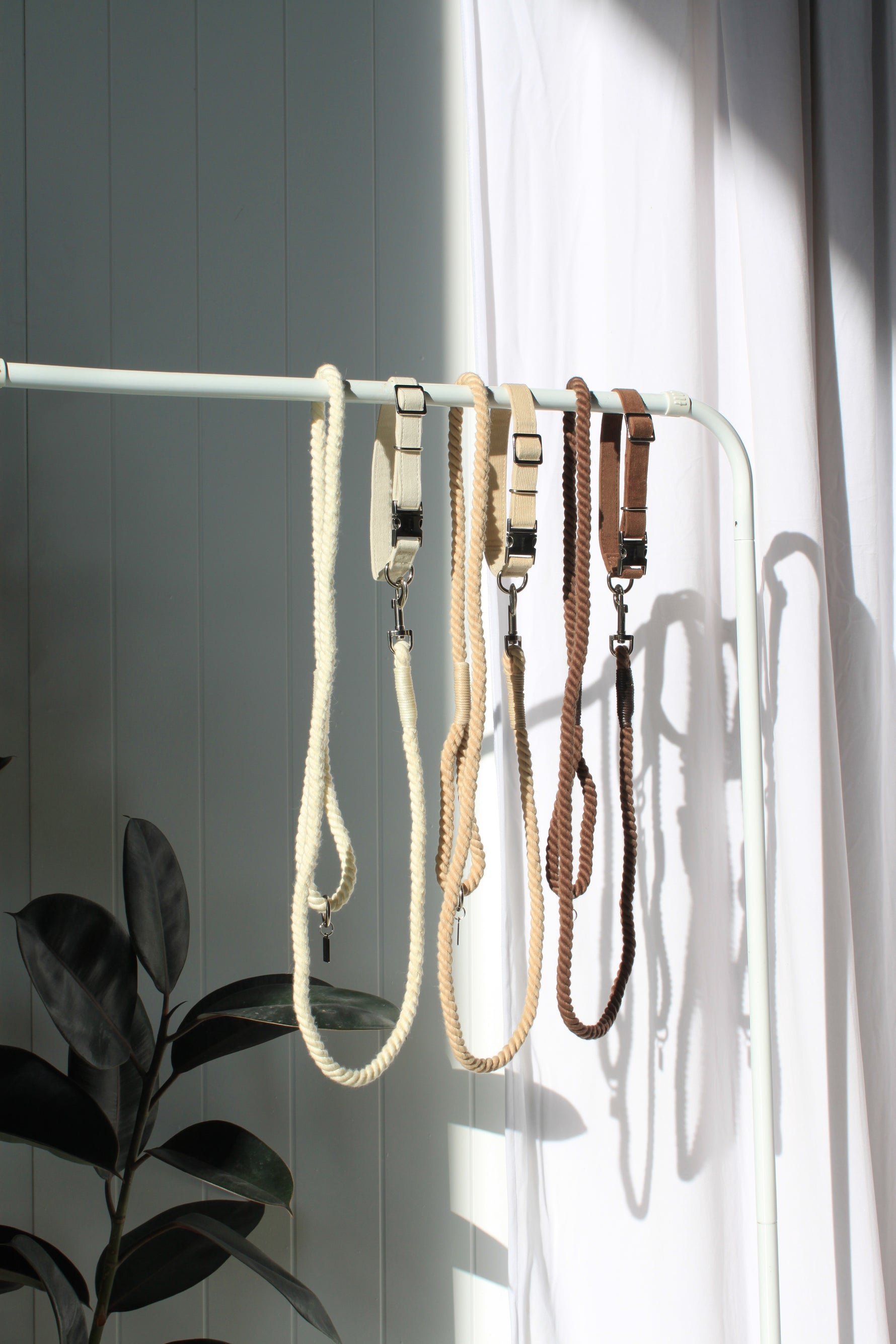 Frankie The Label – frankie.